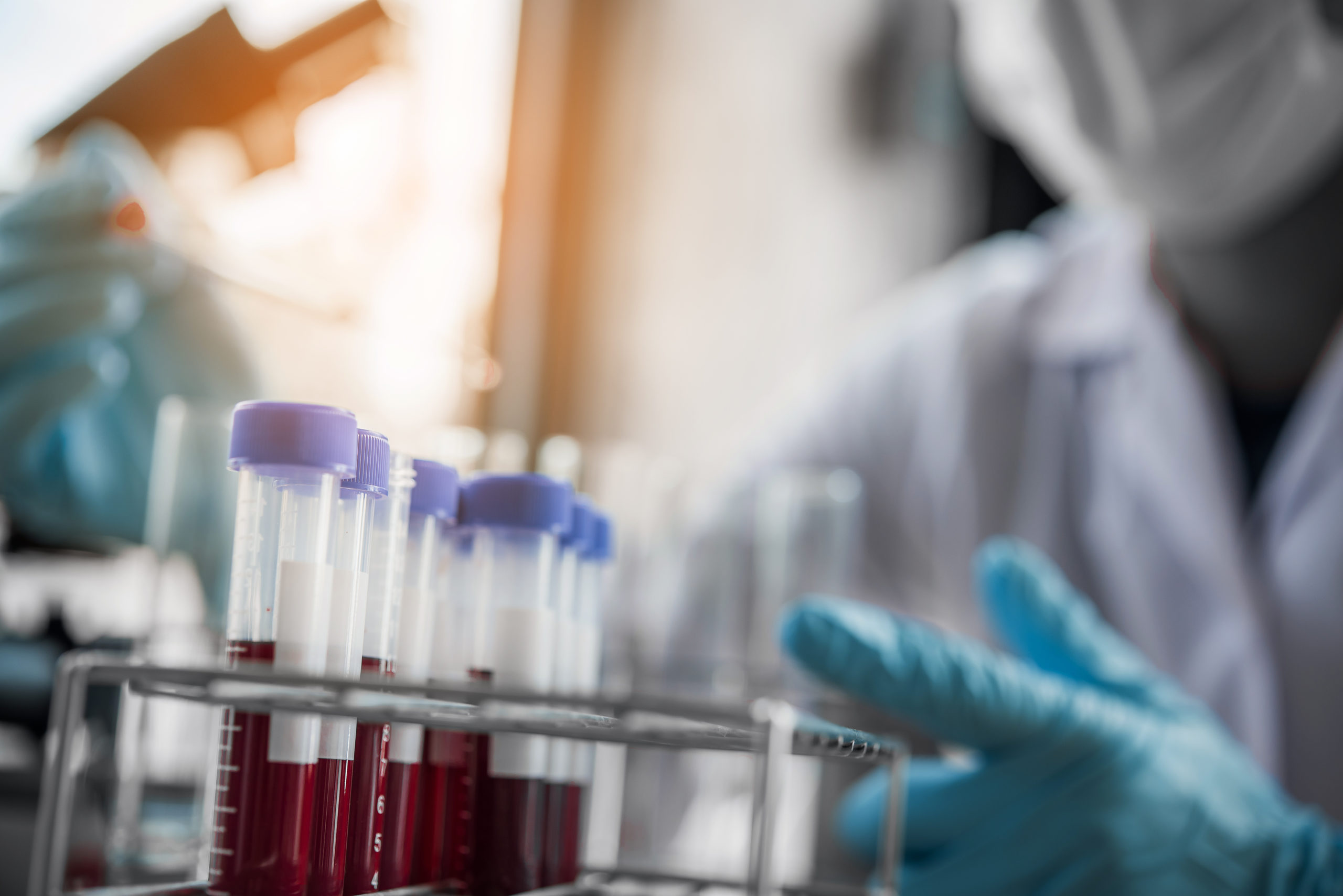 Functional Laboratory Testing - Mindful Living with Bernadette ...